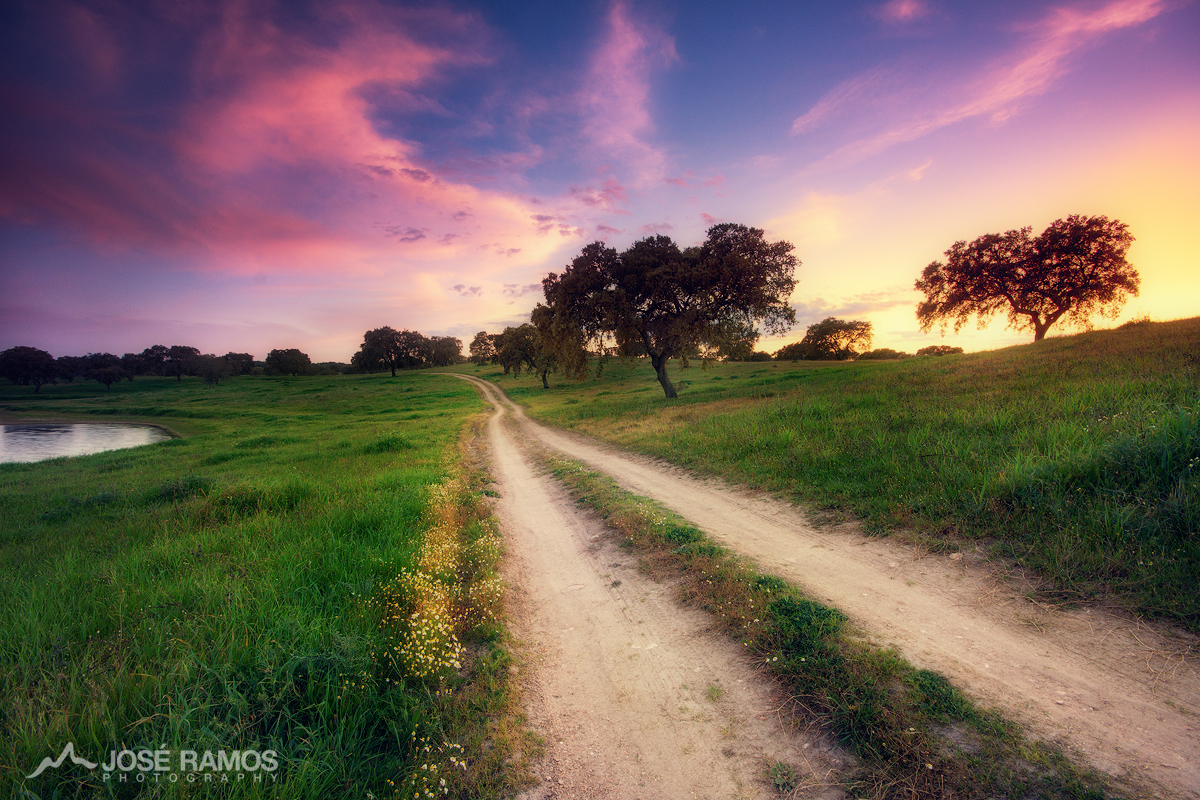 Pathos | Photo in Alentejo | Portugal | José Ramos Photography – José ...